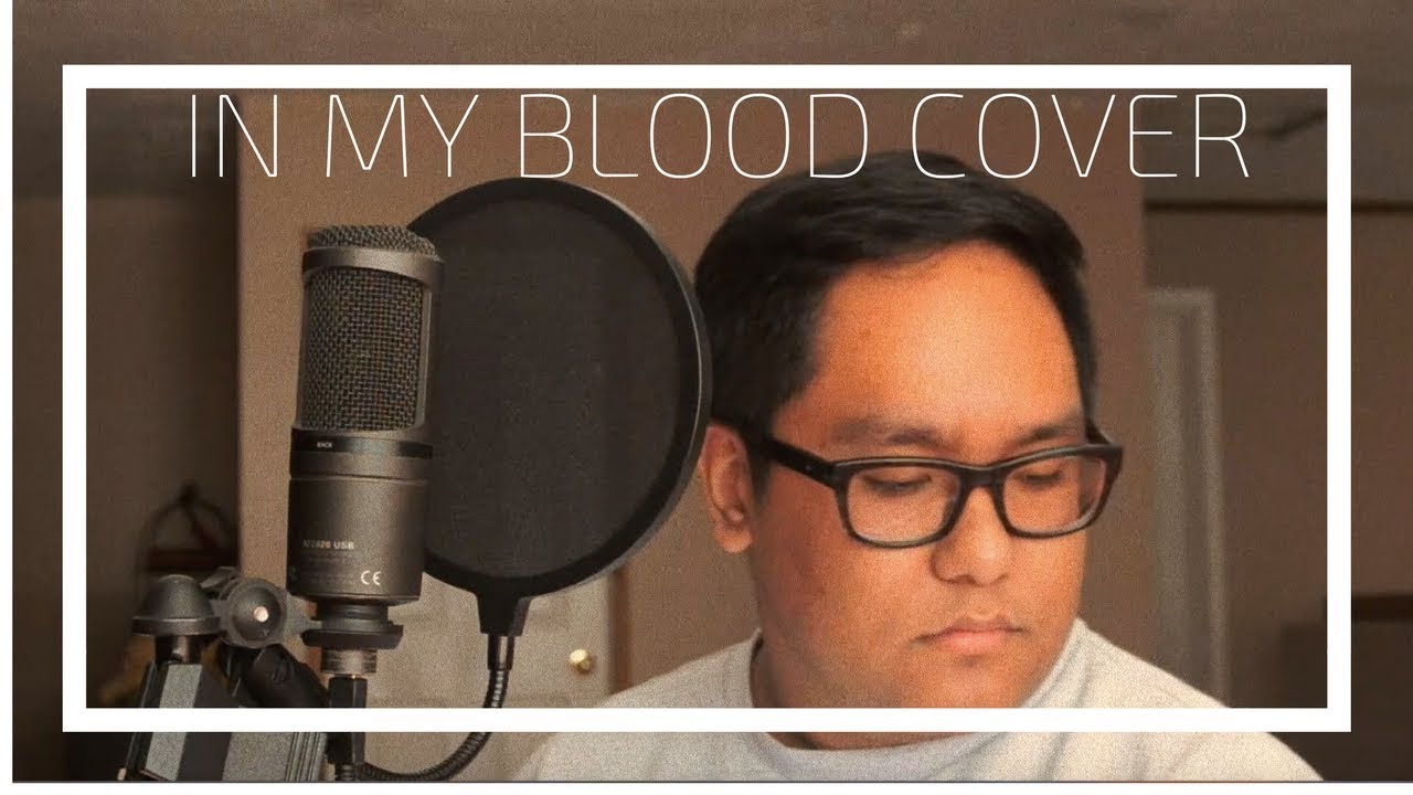 Shawn Mendes - In My Blood (Cover by Raymond Salgado) - YouTube