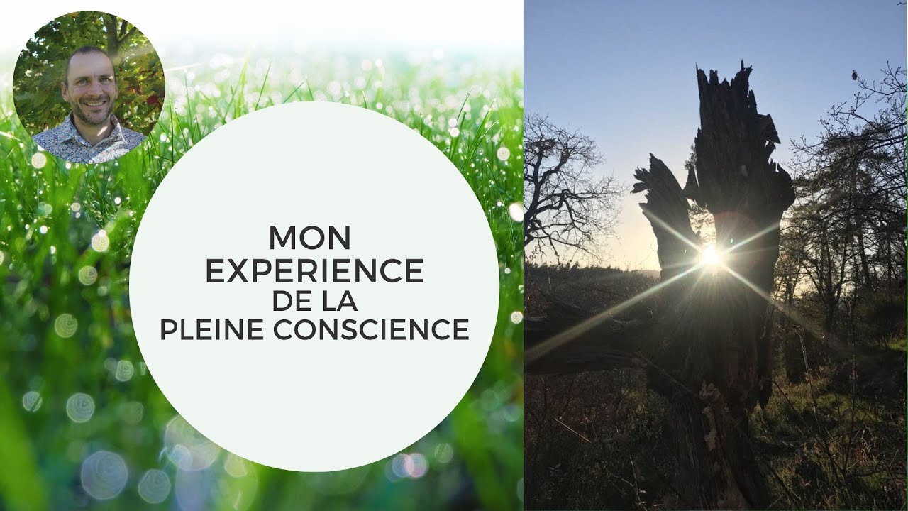 mon expérience de la pleine conscience - quels bénéfices pour notre ...
