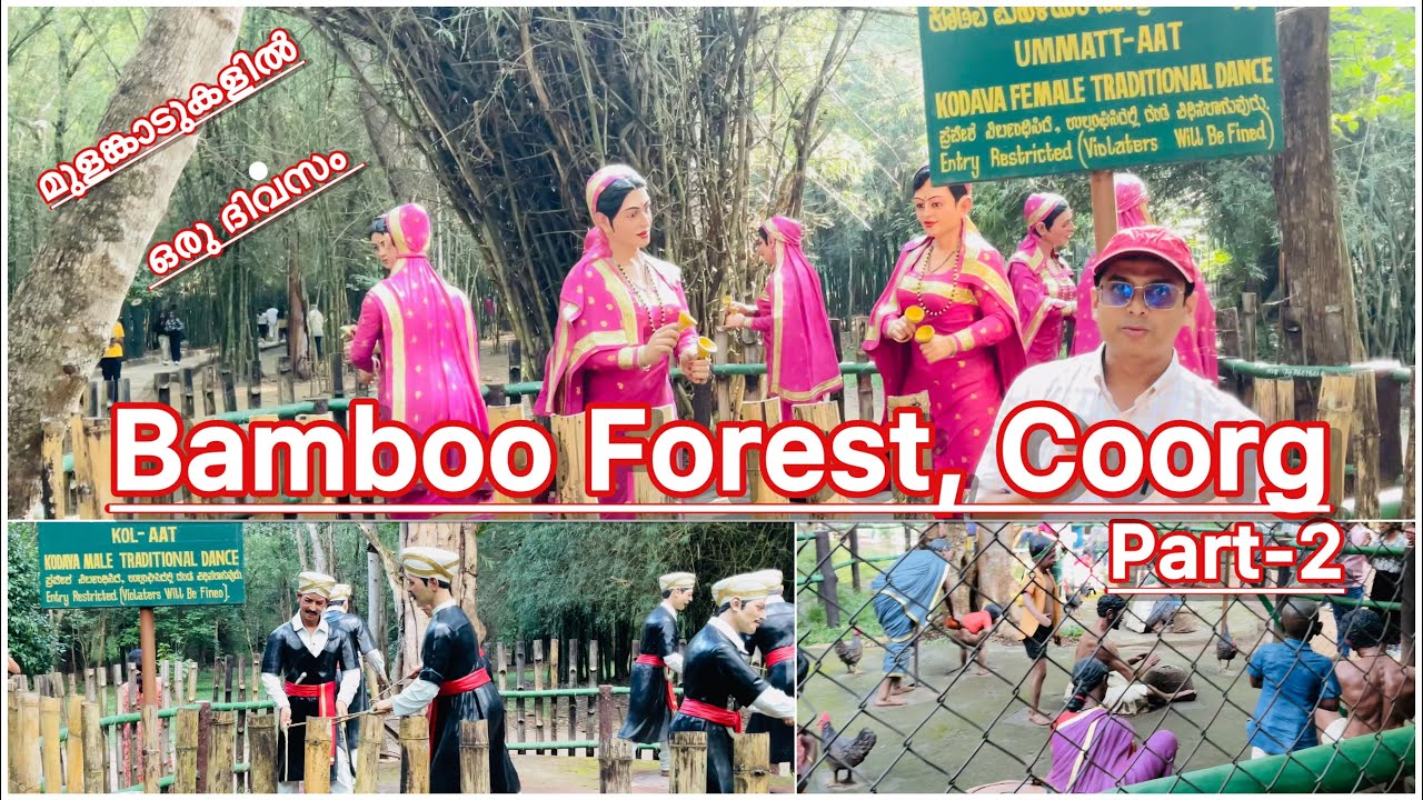 Bamboo Forest-Kodagu, Coorg I Nisargadhama Bamboo Forest I Coorg ...