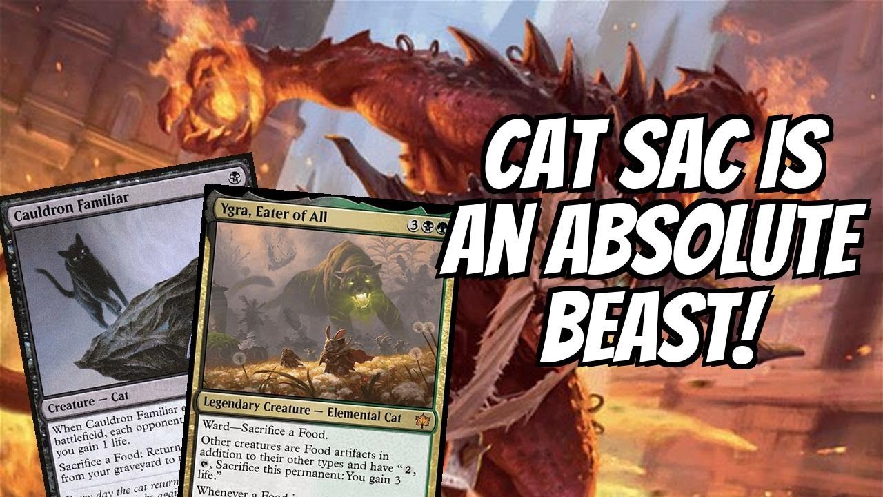 Cat Sac Is An Absolute Beast! | Jundastic Cats | Explorer Bo3 | Mythic ...