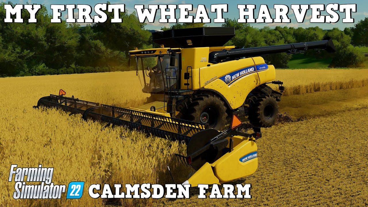 Is My Wheat Field a Goldmine? | Farming Simulator 22 | EP2 - YouTube