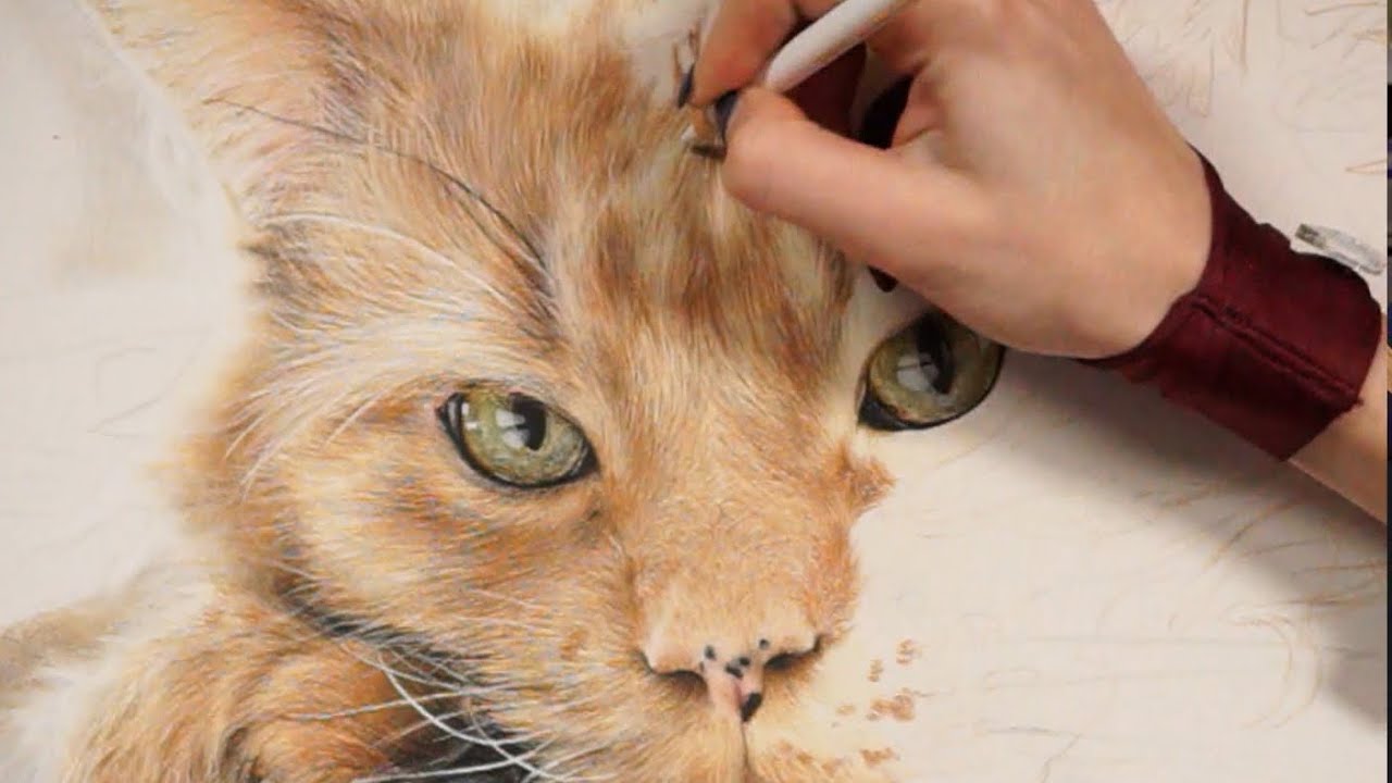 Colored Pencil Drawing: Cat Portrait - Speed Draw | JosYMovieS - YouTube