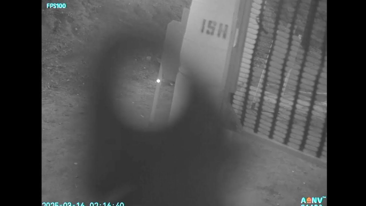 ADNV G14P2: Digital Night Vision That Works* - YouTube