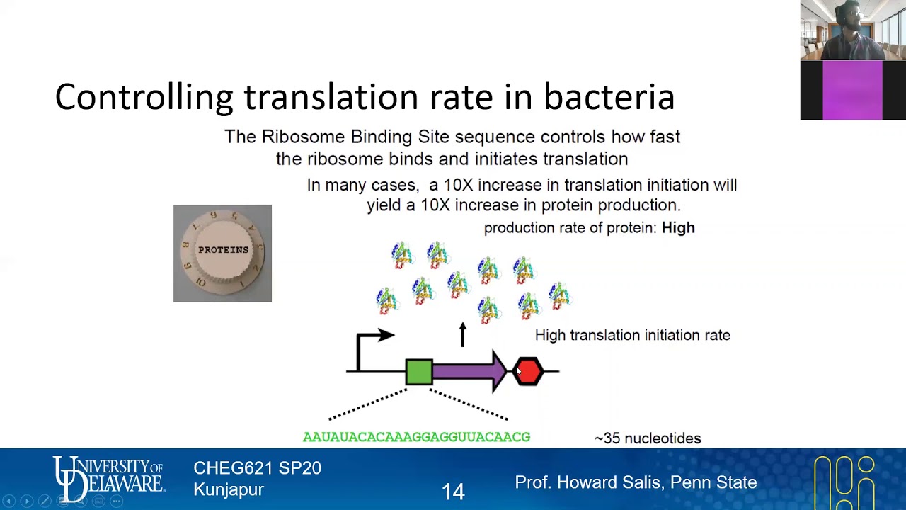 21 The Ribosome Binding Site | Expression Engineering | Lecture 14 ...