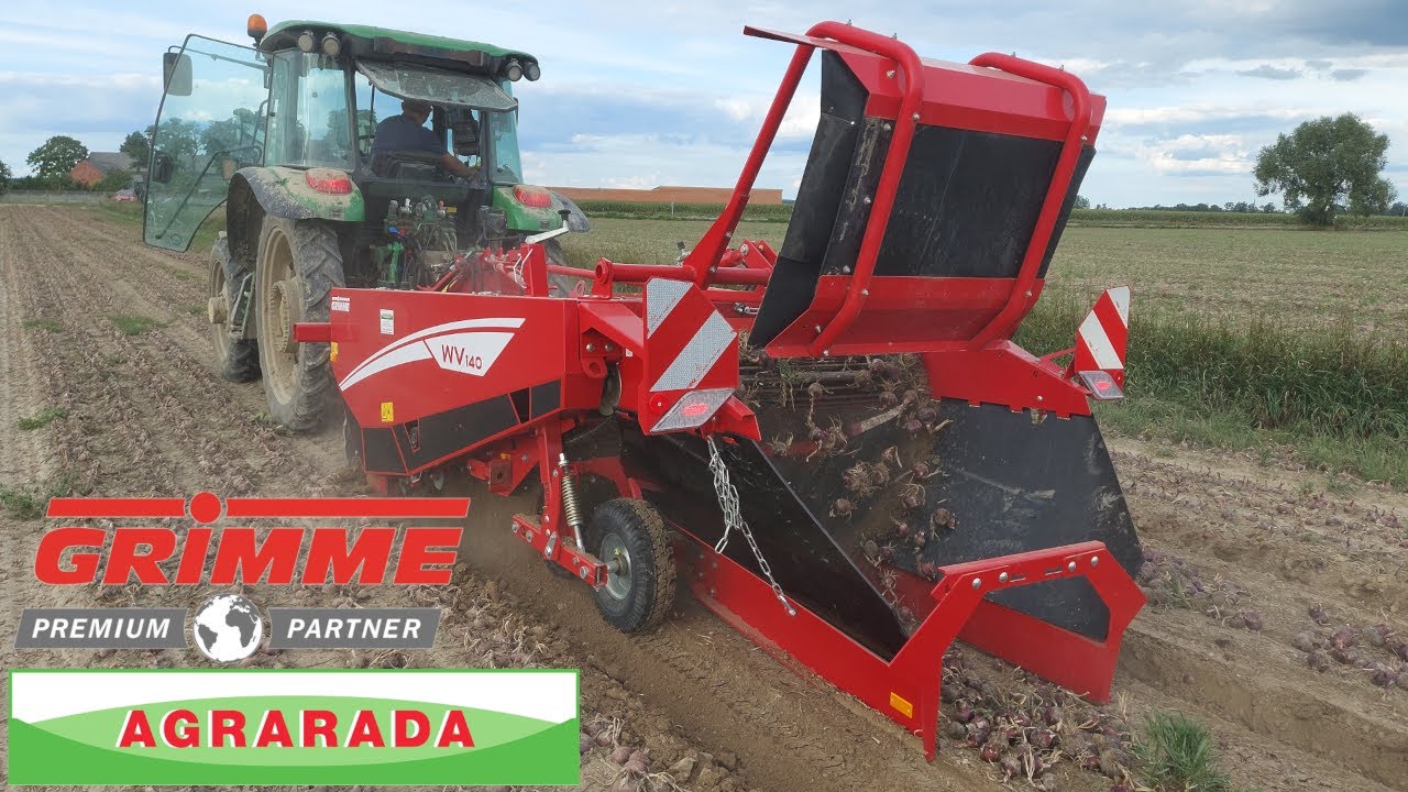 Zbiór czerwonej cebuli kopaczką GRIMME WV140. Onion windrower GRIMME ...
