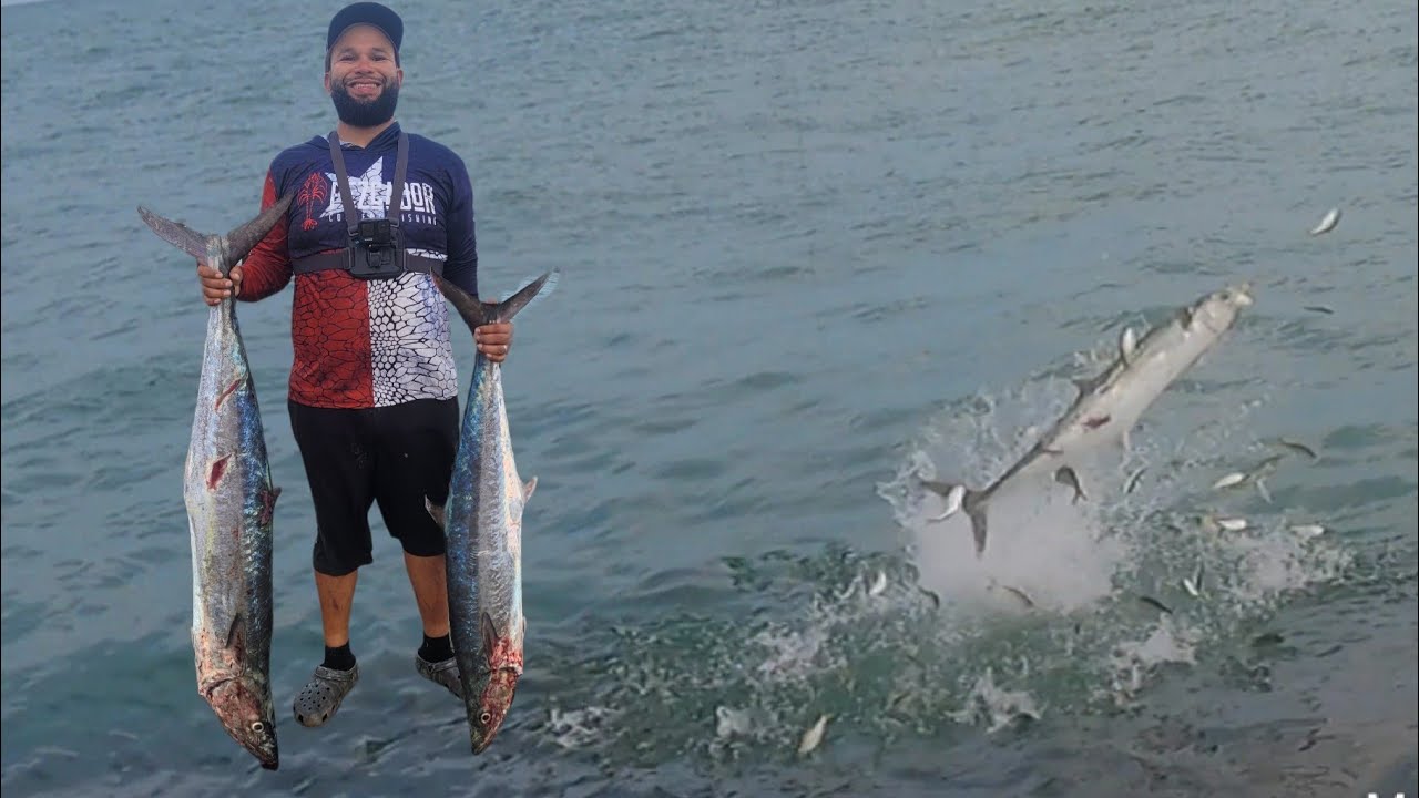 A Jetty Fishermans Dream(Multi Species MAYHEM)*GIANT KINGFISH FLYING ...