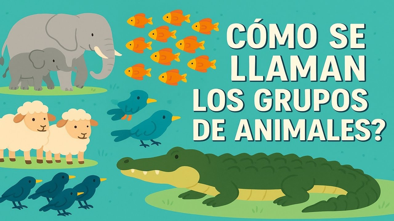 Grupos de Animales y sus Nombres - YouTube