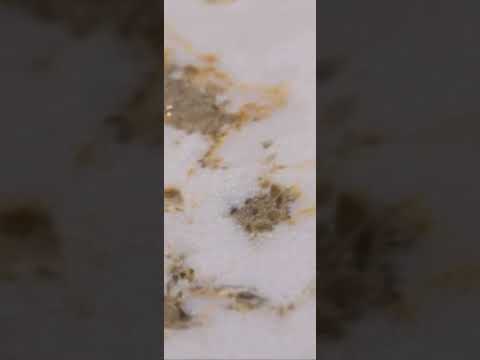 Silestone Slab Sizes: 5 Secrets for Your Perfect Countertop - houzdepot ...