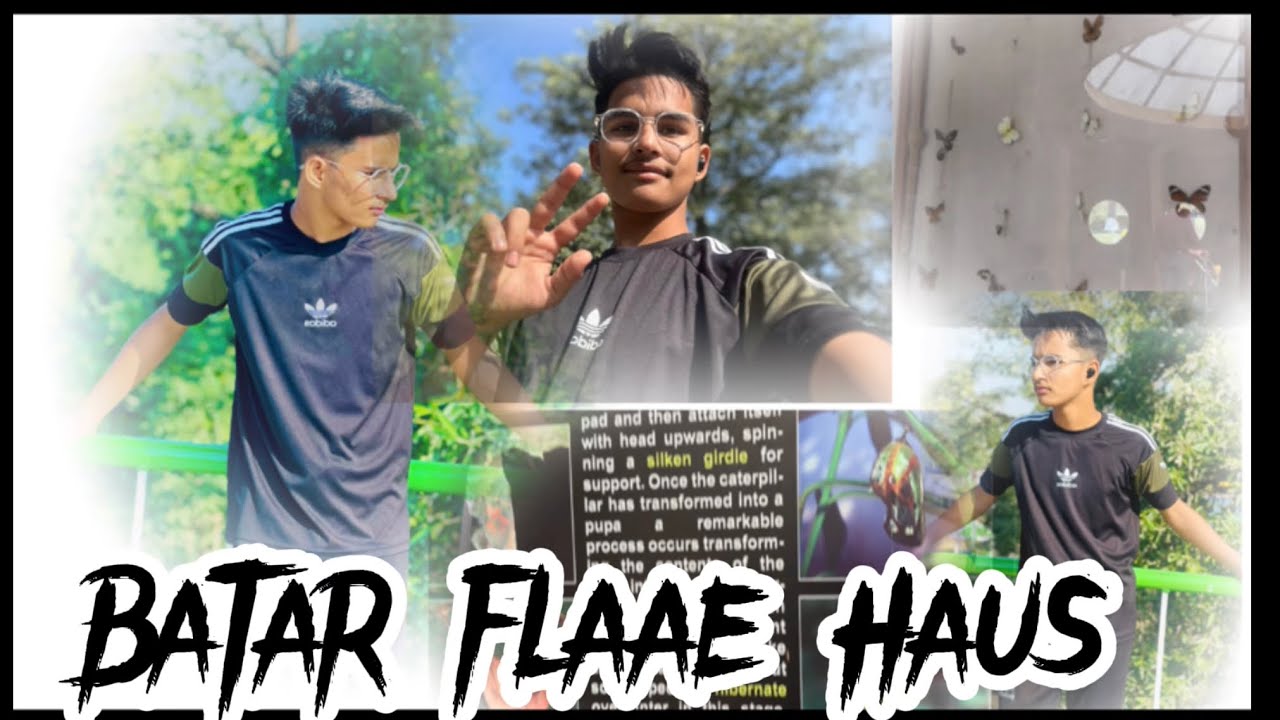 13 November 2023 - YouTube