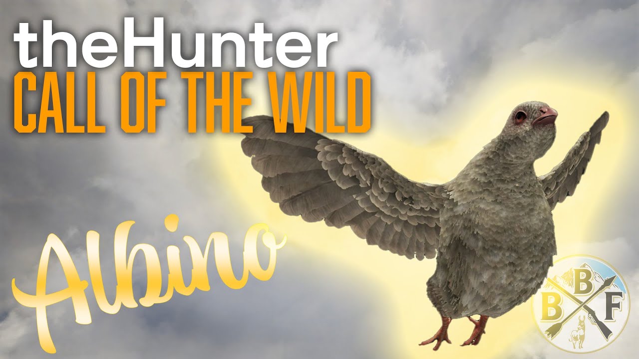 The Quest for the Holy Quail!! ALBINO STUBBLE QUAIL DOWN!! | theHunter ...