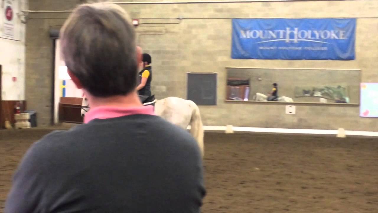 Nellie and Gaelin Flatwork - YouTube