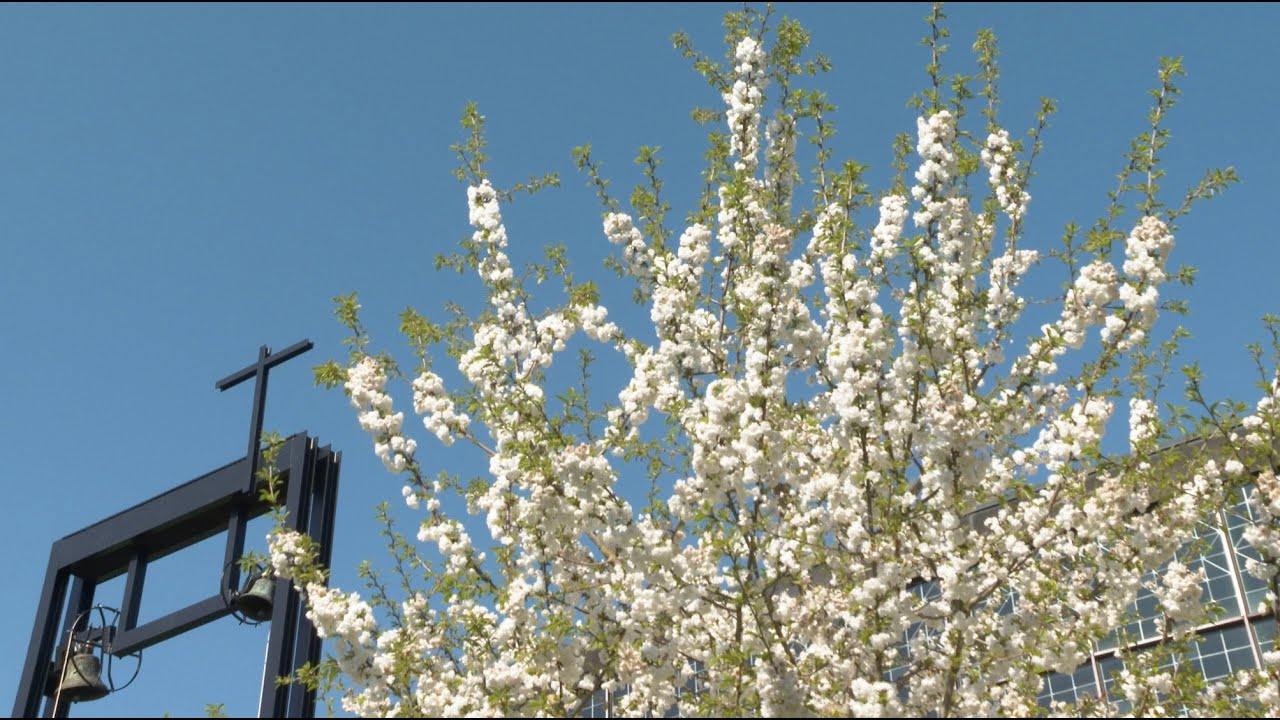 Sun on Sunday at famous Saint-Sixtus, enjoy nature at Abbey with best ...