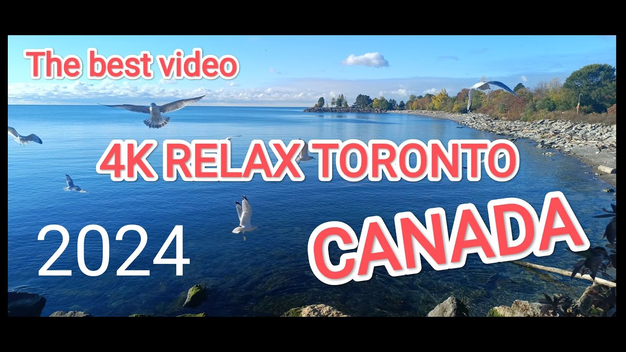 The Best Video [Official Video] (4K Video) ULTRA HD #4k #4khdr - YouTube