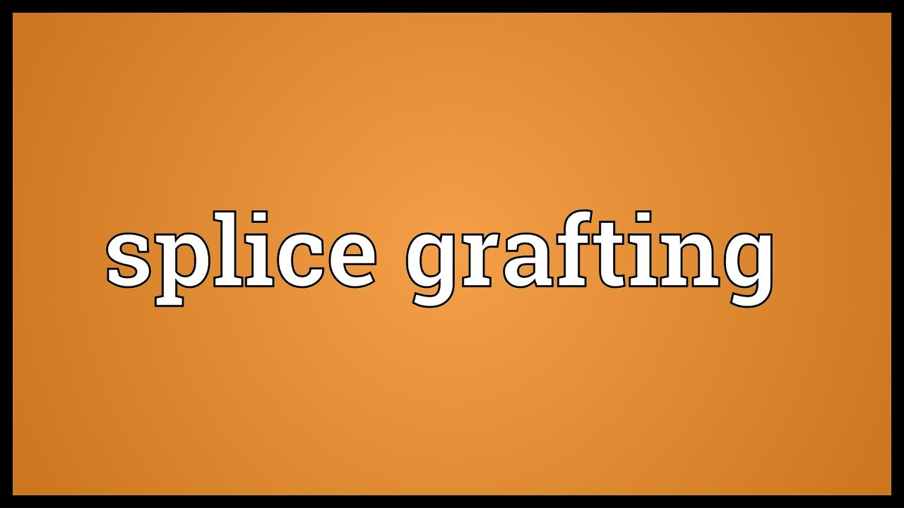 Splice grafting Meaning - YouTube