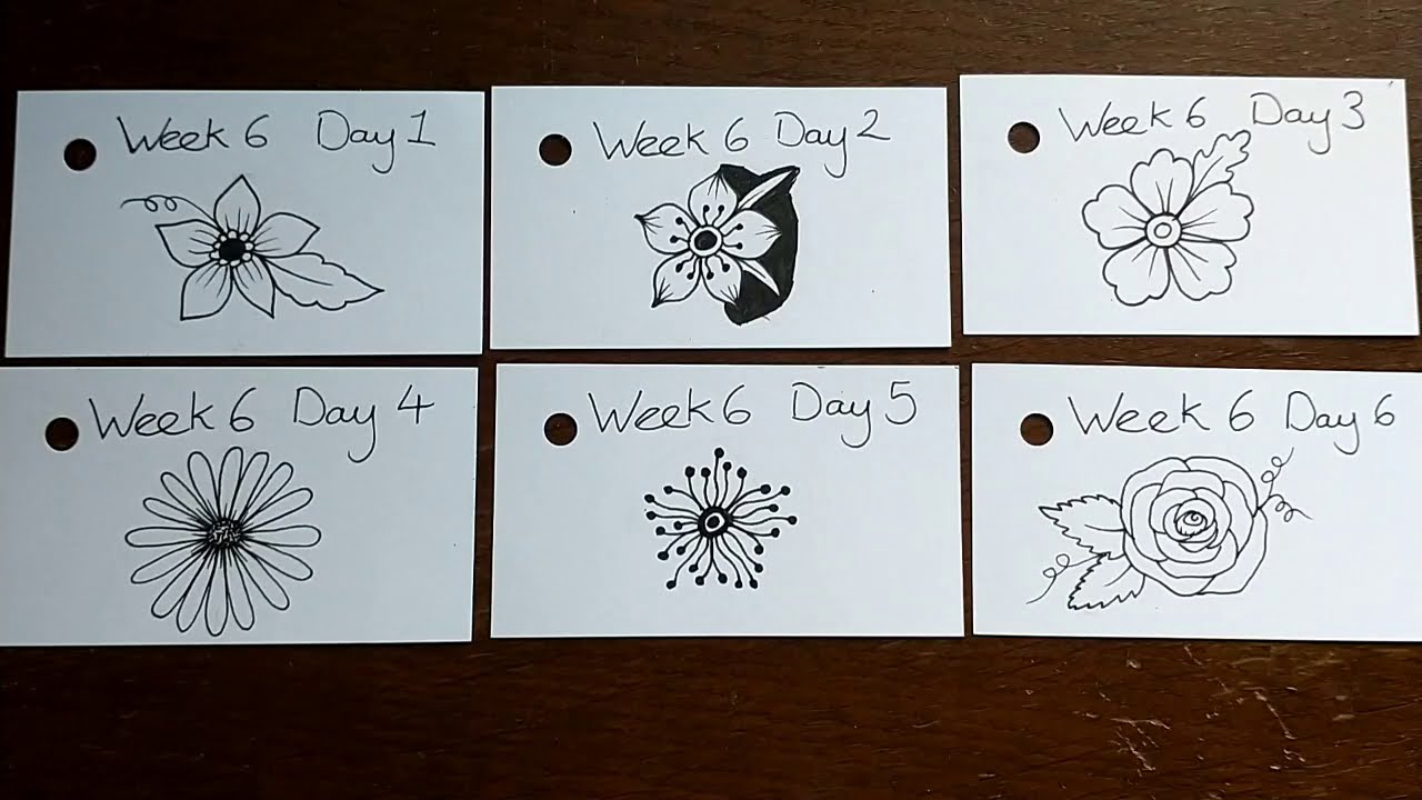 Zentangle Week 6 - flower petal beginner how to tutorial. - YouTube