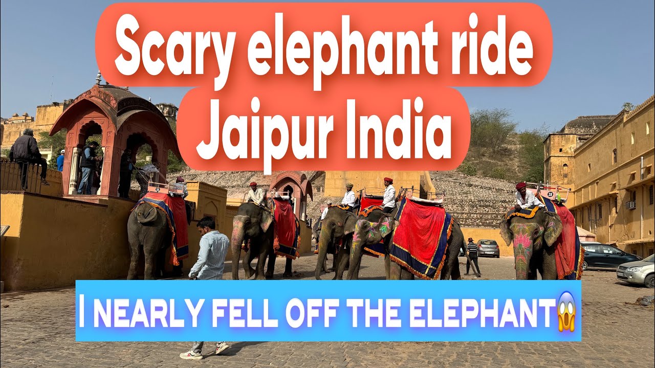 Scary elephant ride Jaipur India - YouTube
