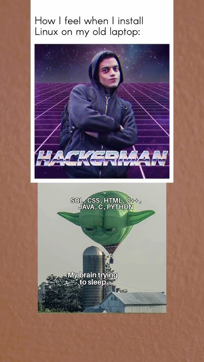 Programmers will relate ! #memes #programming - YouTube