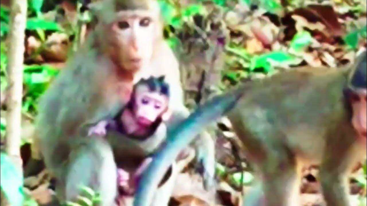 The mother e-m-braces her cute baby. - YouTube