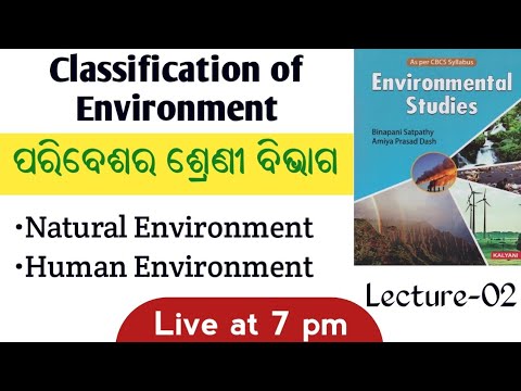 Classification of Environmental - YouTube