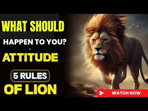 LION Attitude 5 Rules of Lion in English_ LION Mentality 5 Life Lessons ...