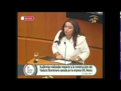 Diputada María de Lourdes Amaya Reyes - YouTube