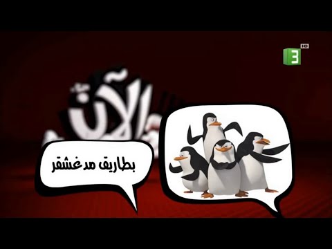 MBC3 - بطاريق مدغشقر - 2018 - الآن
