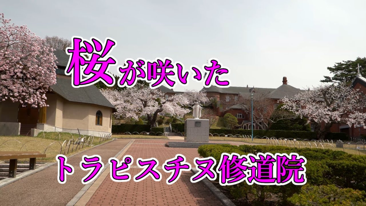 20240427【4K】桜が咲いたトラピスチヌ修道院 Trappistine Monastery with cherry blossoms ...