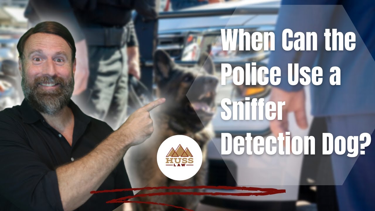 When Can the Police Use Sniffer Detection Dogs? - YouTube