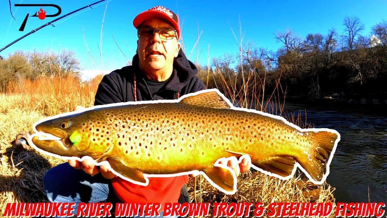 Milwaukee River Winter Brown Trout & Steelhead Fishing - YouTube