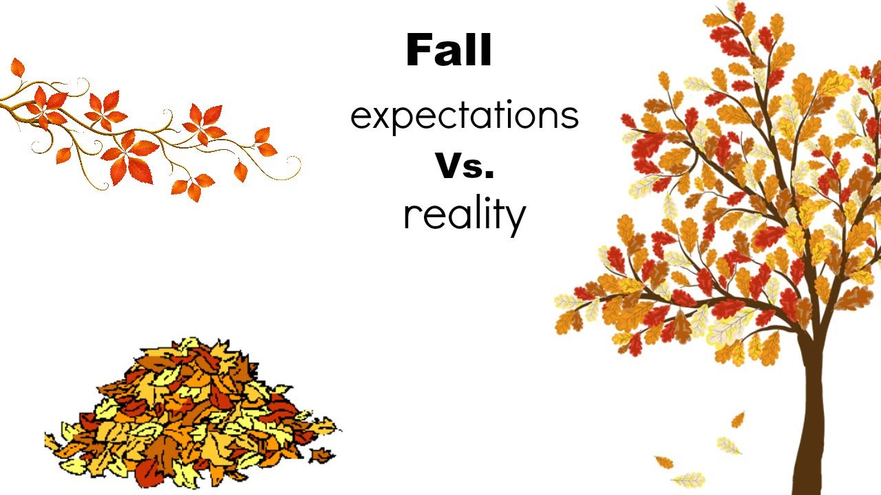 Fall Expectations Vs. Reality - YouTube