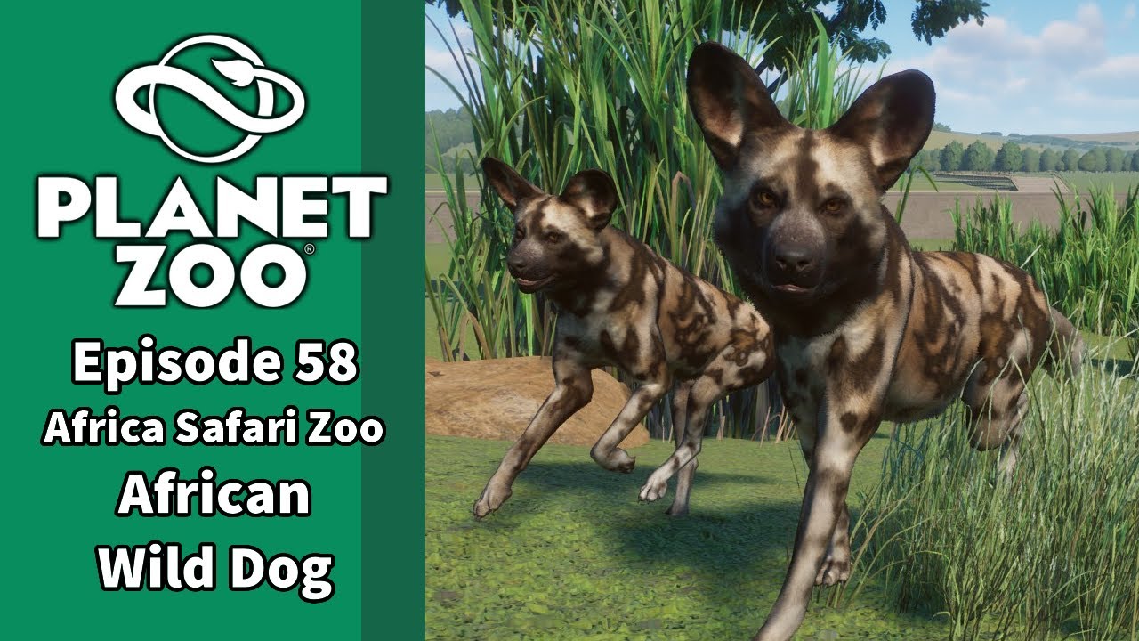 Planet Zoo Episode 58: Africa Safari Zoo, African Wild Dog - YouTube