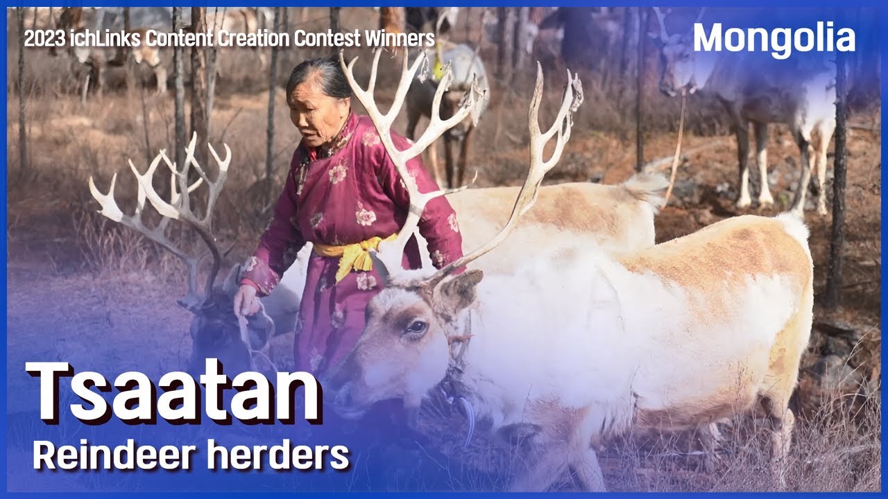 [2023 Mongolia] Tsaatan(Reindeer herders) - YouTube
