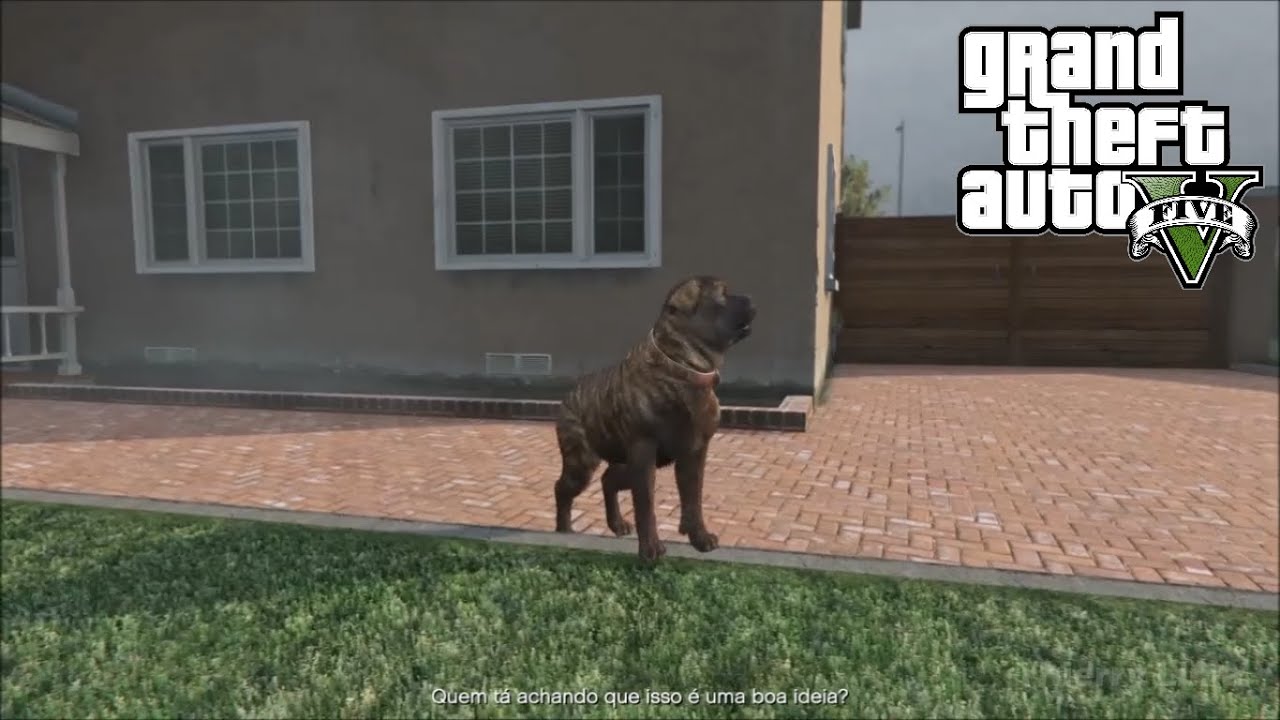 COMO VIRAR UM CACHORRO ROTTWEILER NO GTA V (PEYOTE) - YouTube