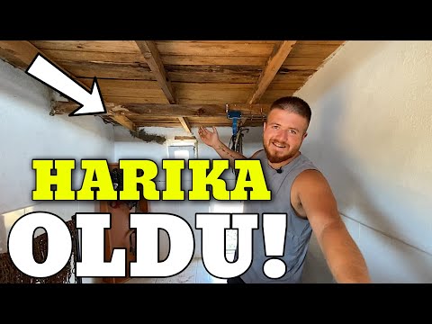 Köpeklerin Eşyaları İçin Özel Oda Hazırladım