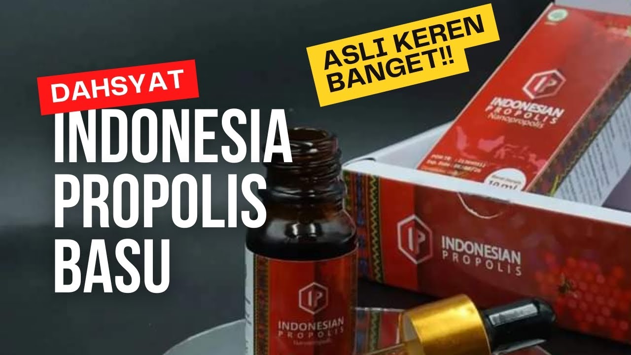 DAHSYATNYA MANFAAT INDONESIA PROPOLIS DARI BASU. - YouTube