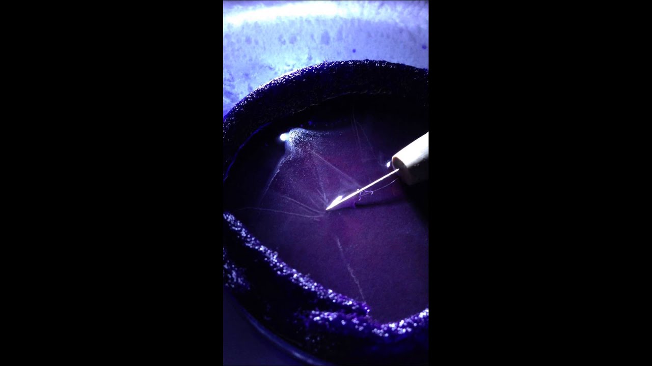 Radioactive Decay Cloud Chamber - YouTube