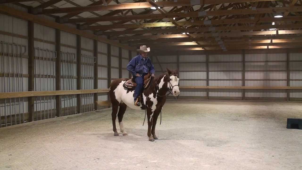 The Recreational Horse Series, Part 4 of 5: The Half Pass and Side Pass ...