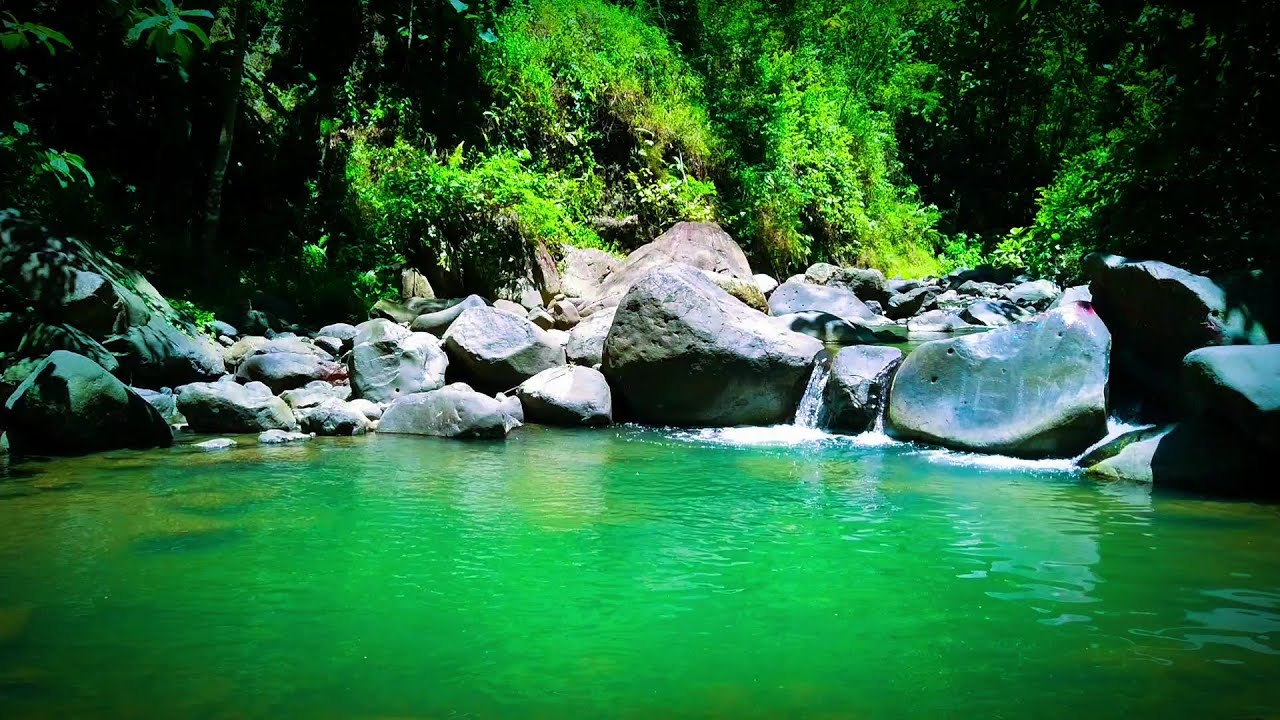 Soothing mountain stream Relaxation Sound river waterfall Sound flowing ...