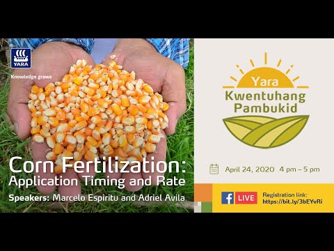 Corn Fertilization: Application Timing and Rate - YouTube