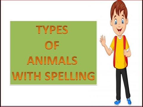TYPES OF ANIMALS WITH SPELLING - YouTube