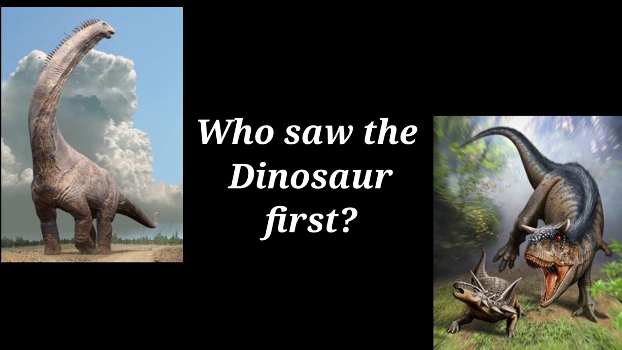 People who saw dinosaur first | Four famous fossil hunters | Did you ...