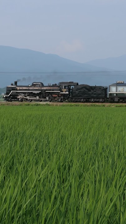 【4K縦動画】C57-180 25th SLばんえつ物語 堂島付近通過！ JR East Railway Steam locomotive class C57 'Banetsu ...