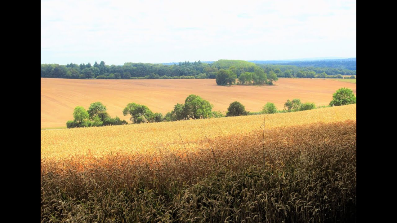 Ten Acre Field from Worzel Gummidge - YouTube
