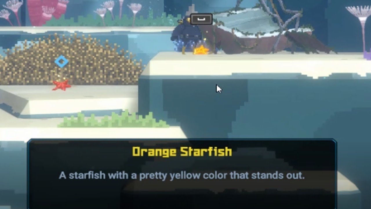 Where to Find an Orange Starfish in Dave the Diver - YouTube