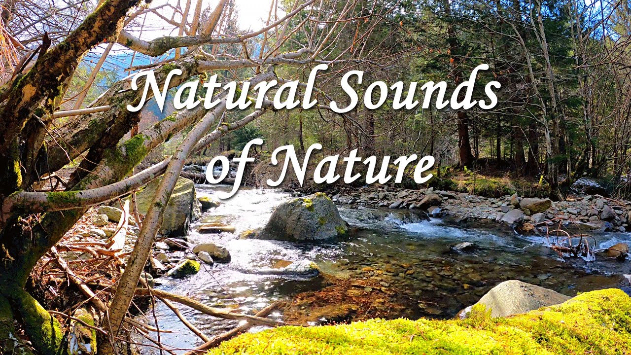 Natural ambience | healing sounds for meditation - YouTube
