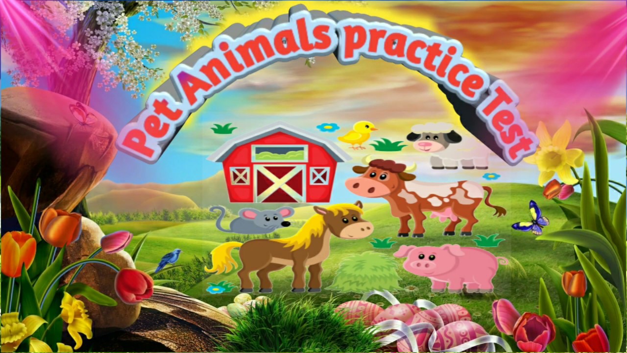Pet(Domestic) Animals -Practice Test/Pictorial information of Domestic ...