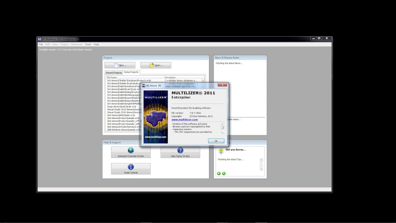 Multilizer 2011 Enterprise - YouTube