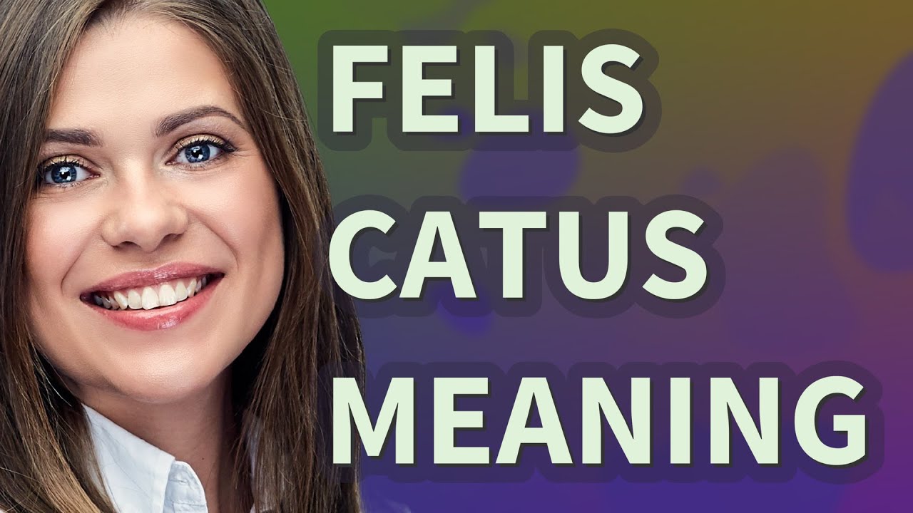 Felis catus | meaning of Felis catus - YouTube