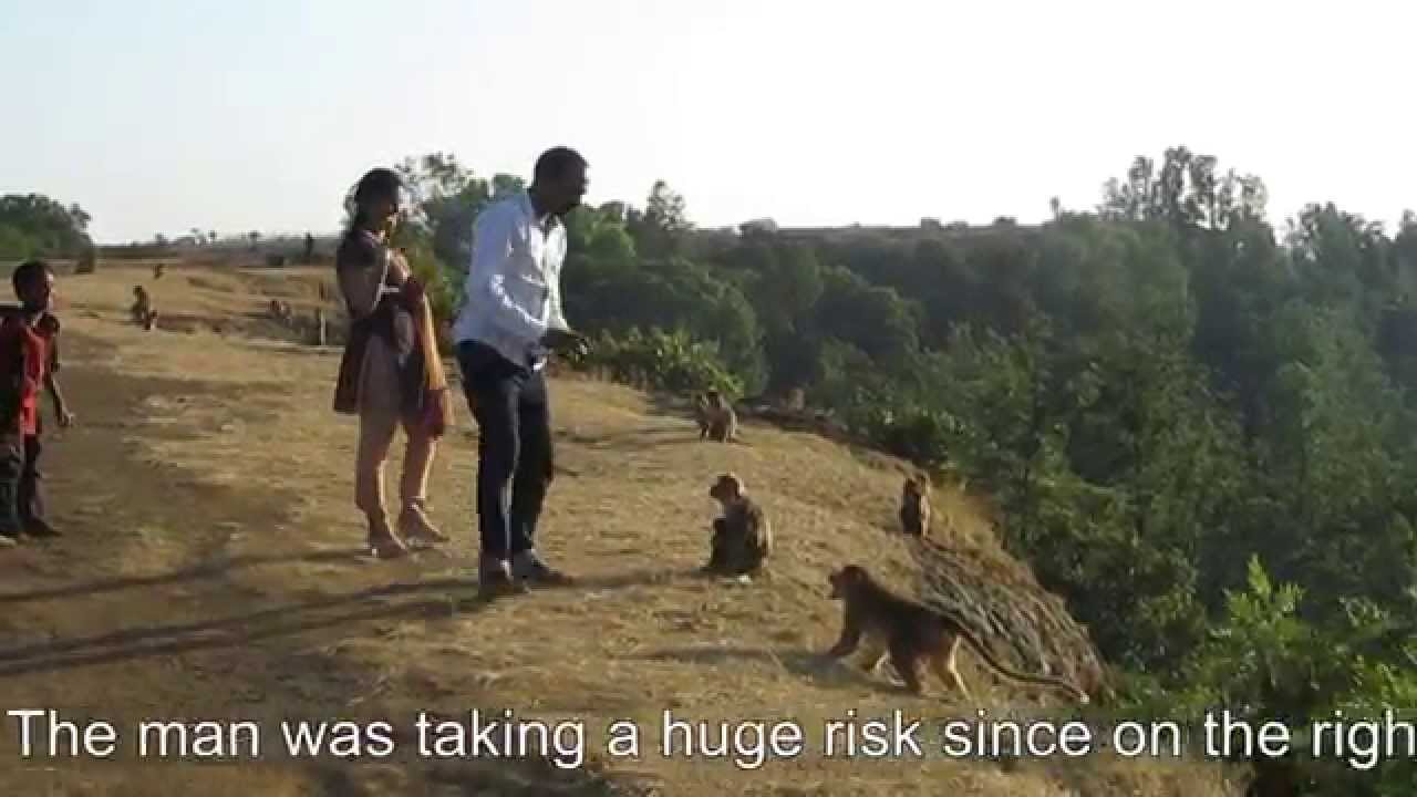 Monkeys are human...And Men can be... - YouTube