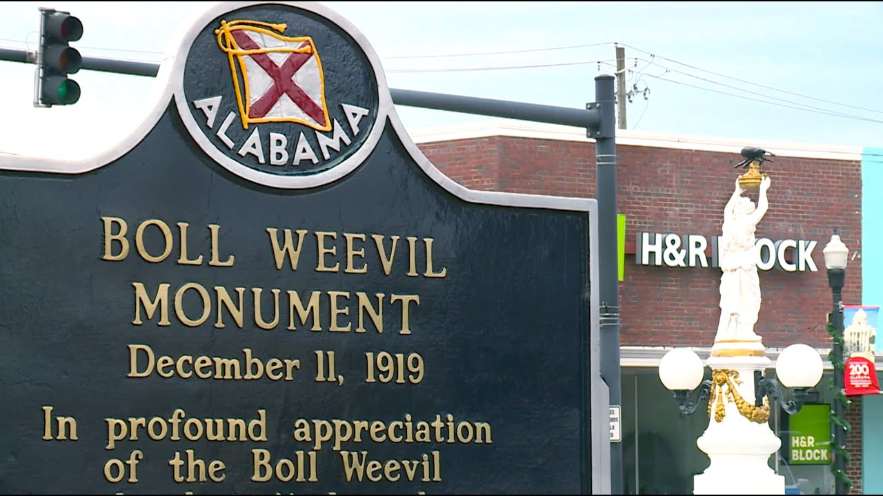 Show 612B - Boll Weevil Statue Centennial - YouTube